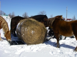 Karyon Media - Karyon